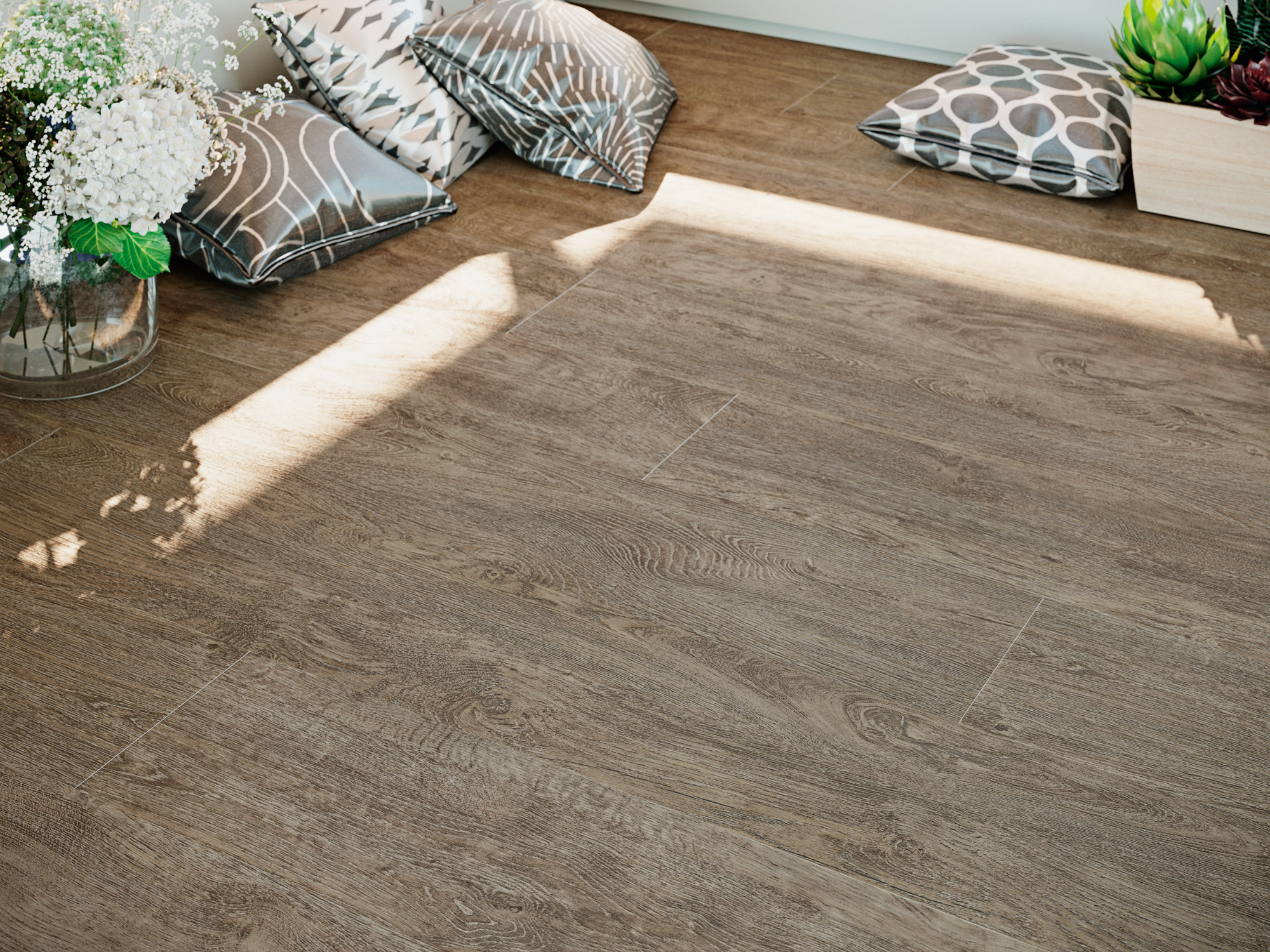 Evolve - Finzzi Surfaces